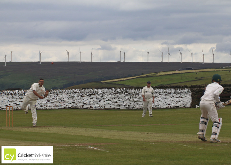 Halifax cricket league