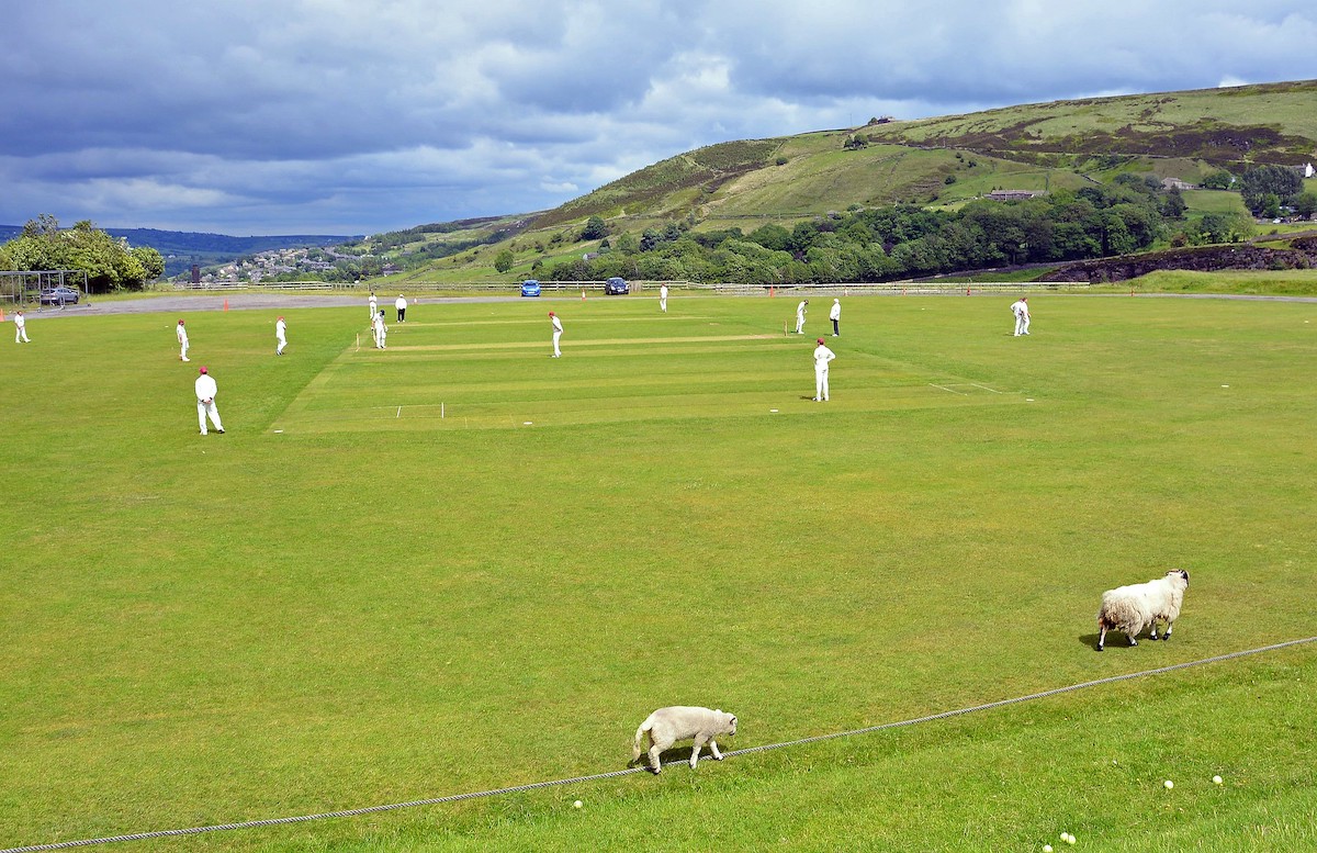 David Major: Photographing Yorkshire's cricket clubs