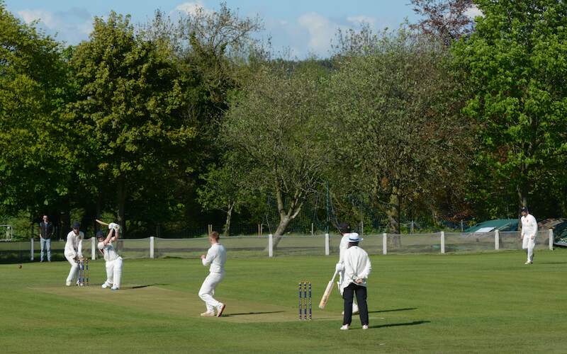 Pool Cricket Club: Rain delays, beetles and time travel