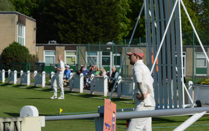 Pool Cricket Club: Rain delays, beetles and time travel