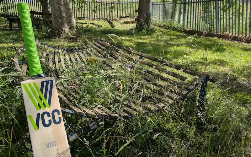 Village Cricket Bat: Firepower for blockers and blasters